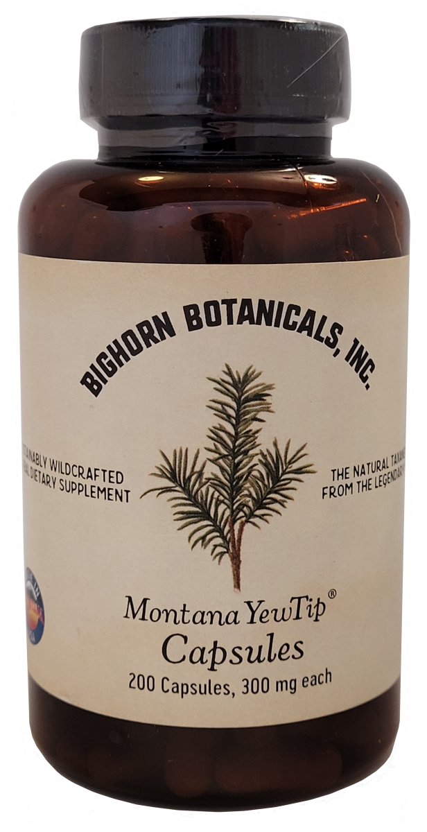 YT: Montana Yew Tip Capsules 300 mg 200 ct – Top Seller Best Sellers