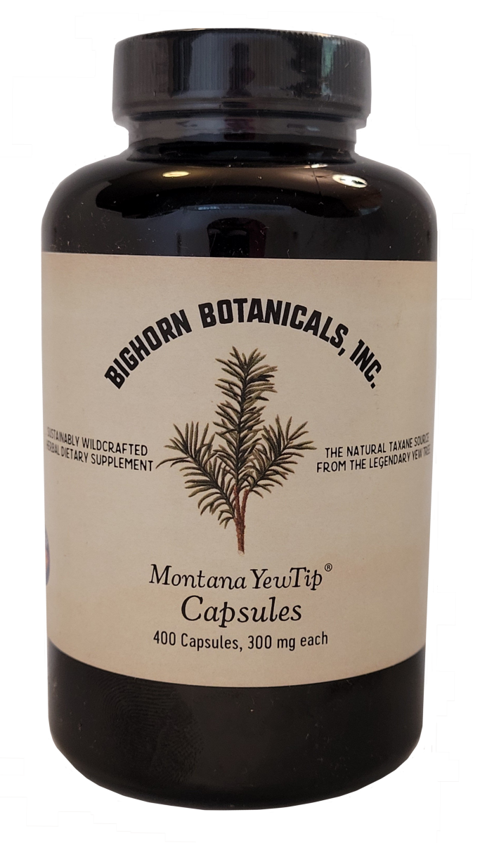 YT: Montana Yew Tip Capsules 300 mg 400 ct – Top Seller Best Sellers